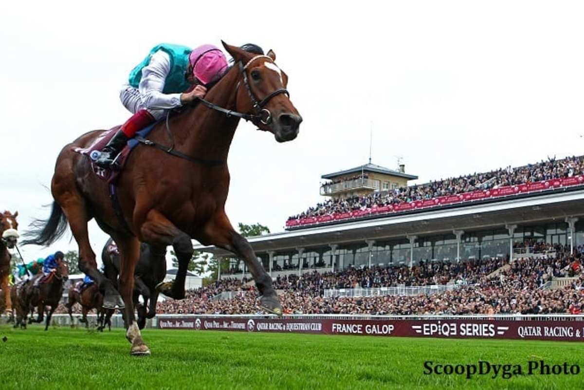 Enable Trying For Arc Repeat; Breeders' Cup May Be On The Horizon For ...