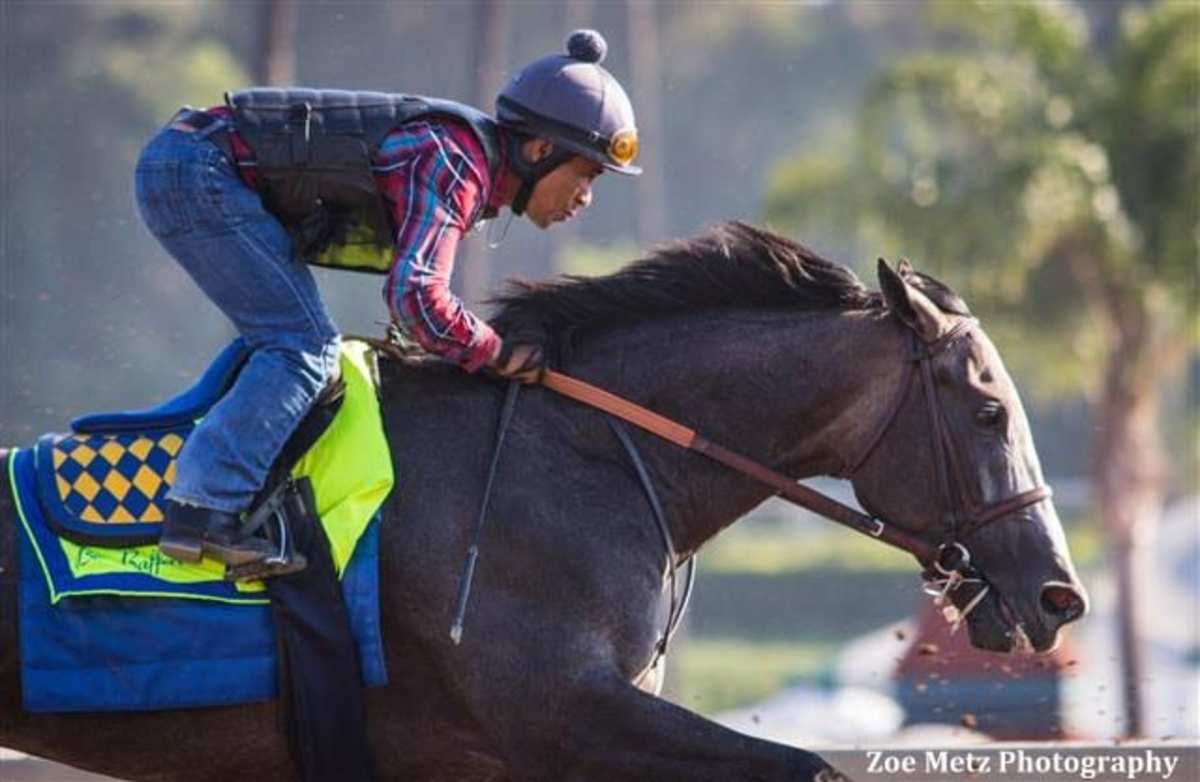 Arrogate Towers Over Five Rivals In G2 San Diego Handicap - Paulick ...
