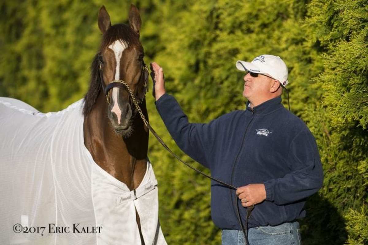 McPeek's Magdalena Farm Has Long And Rich Kentucky History - Paulick ...