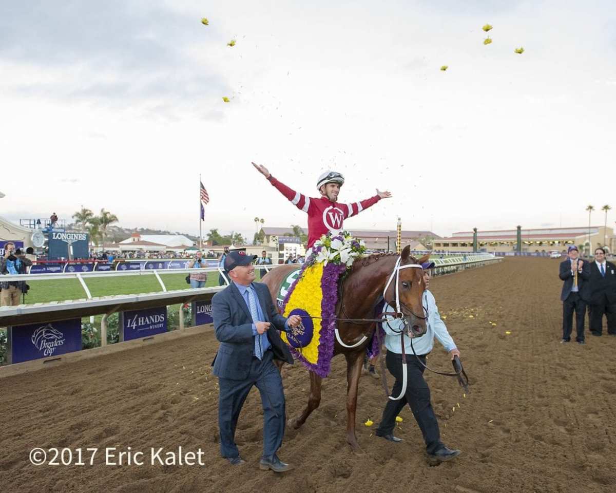 The Haiku Handicapper Presented By FanDuel Racing: 2024 Breeders' Cup ...