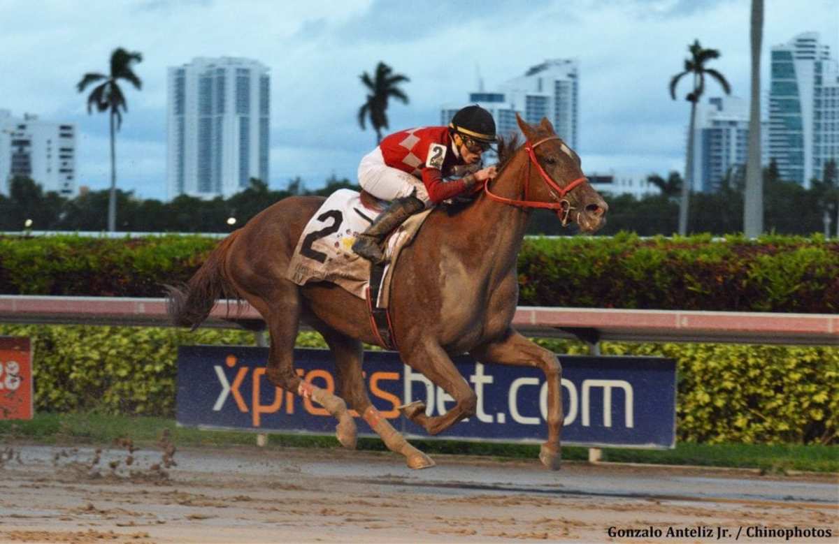 Por Vía De Galope La Potranca Jala Jala Se Lleva Para México El Clásico ...