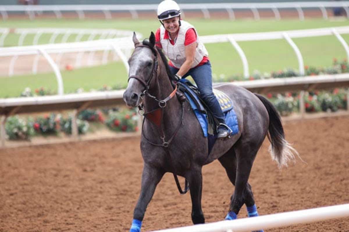 Weekend Lineup: Arrogate Returns - Paulick Report | Latest news and ...