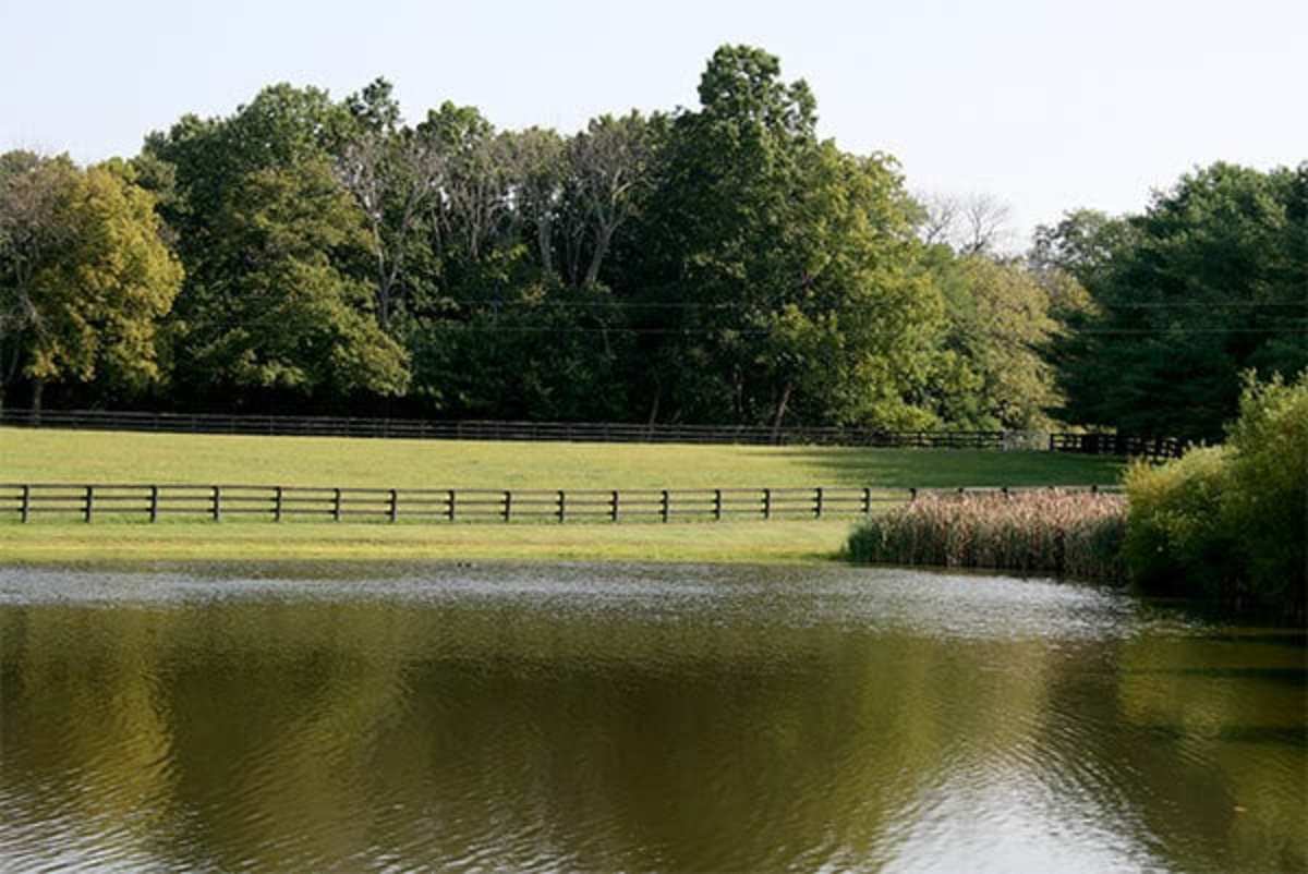 Prunzik Family Purchases Historic Stone Bridge Farm - Paulick Report ...