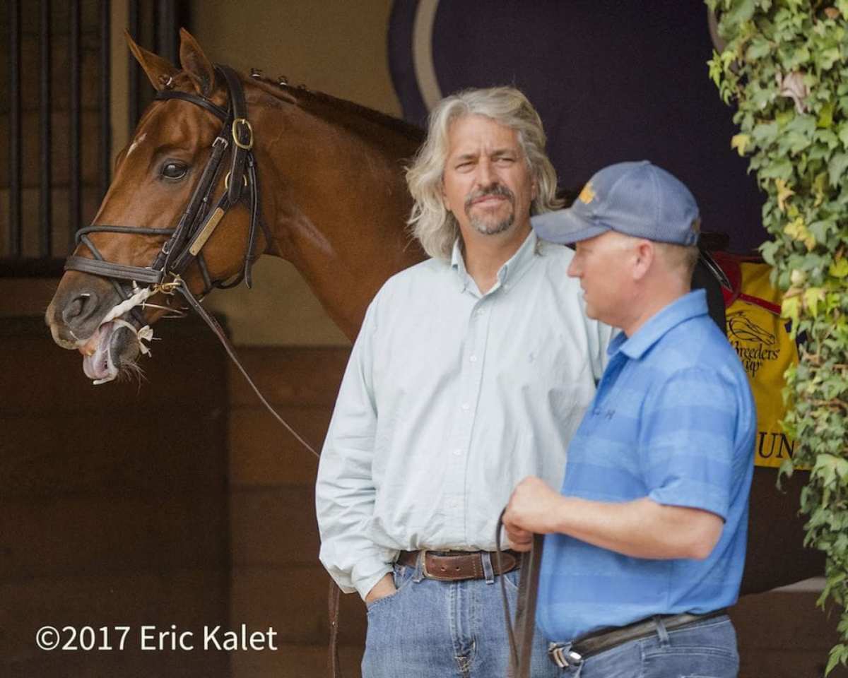 Gun Runner To Be Shown At Three Chimneys, Rejoin Asmussen Stable In New ...