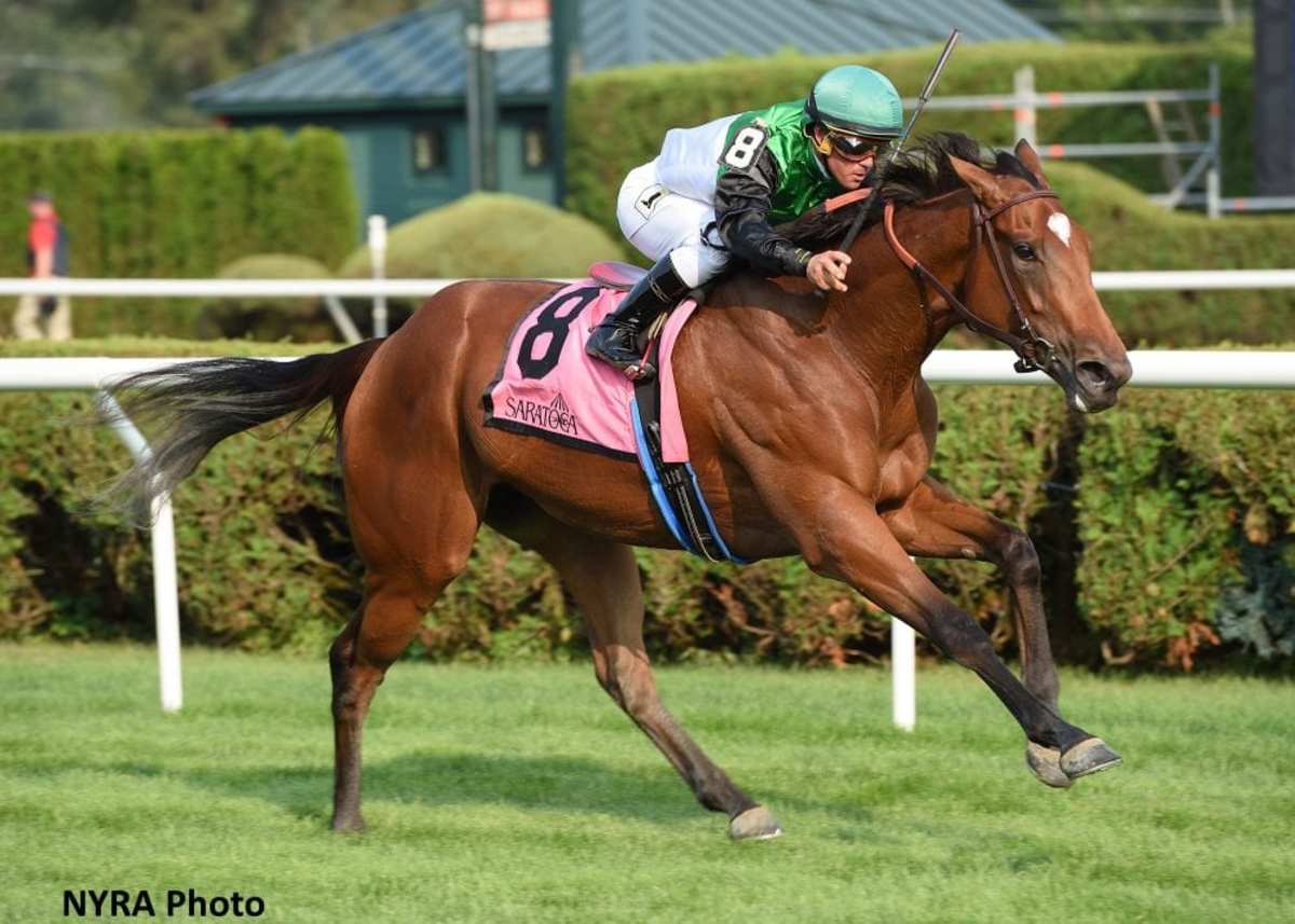 Proctor's Ledge Makes The Grade In Lake George - Paulick Report ...