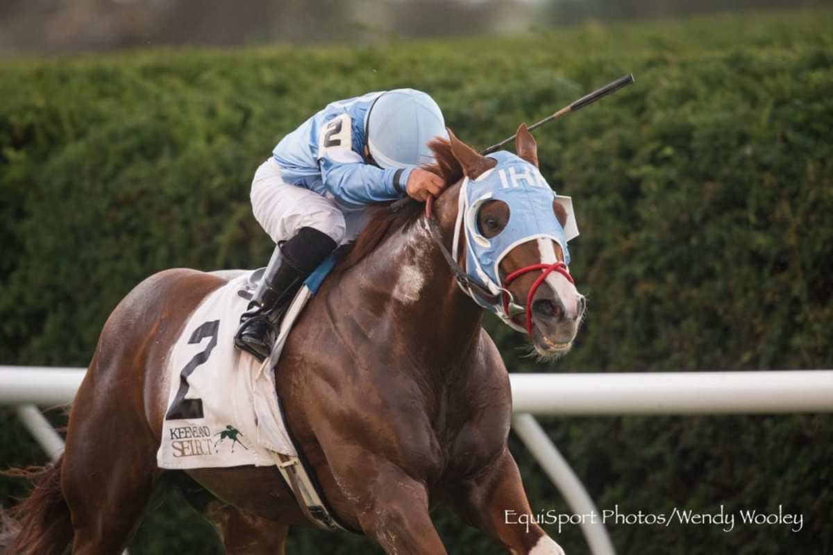 Indiana Breeding Shows Double-Digit Increases In Stallions, Mares Bred ...