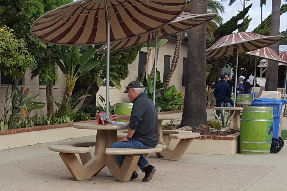 Breeders' Cup Presents Connections: 27 Wins And Counting - Paulick ...