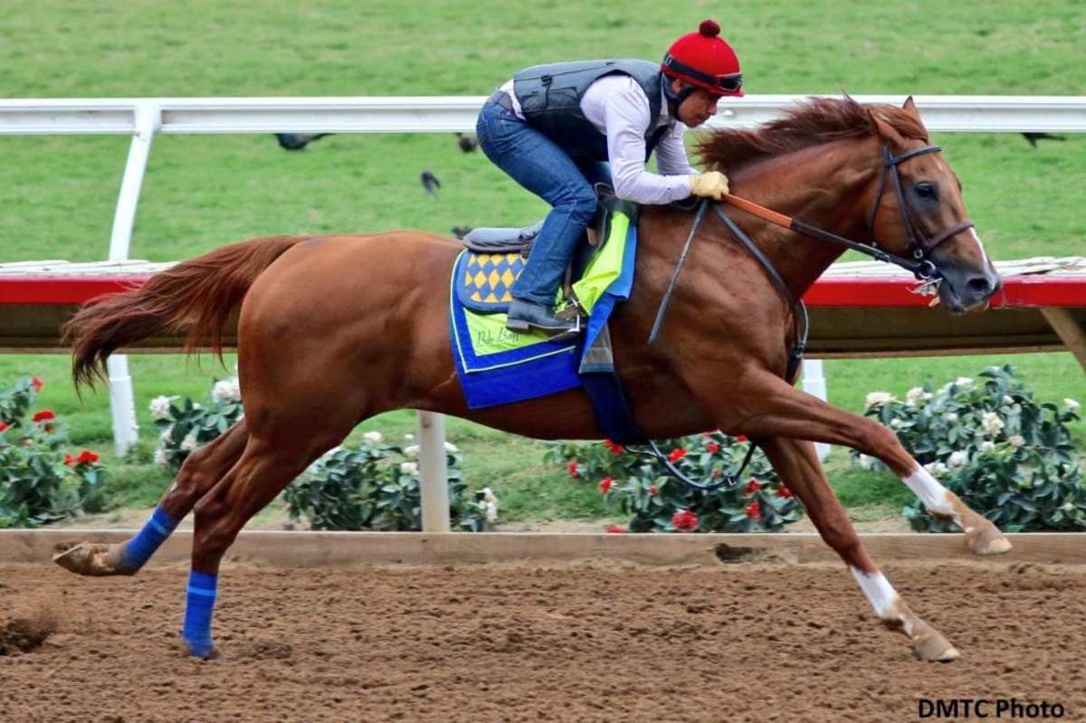 Collected, Accelerate In Solid Form Approaching Pacific Classic ...