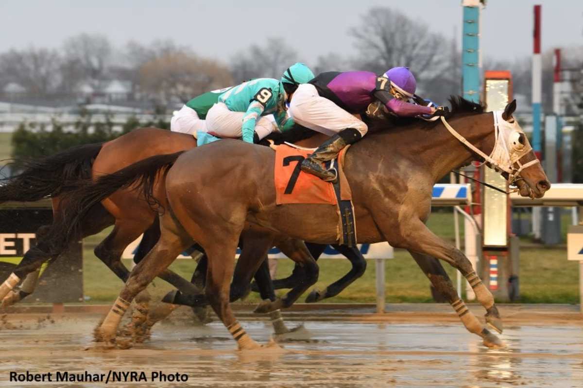 Zanotti Upsets Queens County At 38-1; Do Share Up Late In Gravesend ...