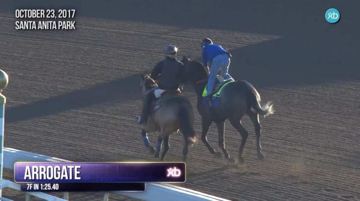 Arrogate Turns In Sharp Seven-Furlong Work At Santa Anita - Paulick ...