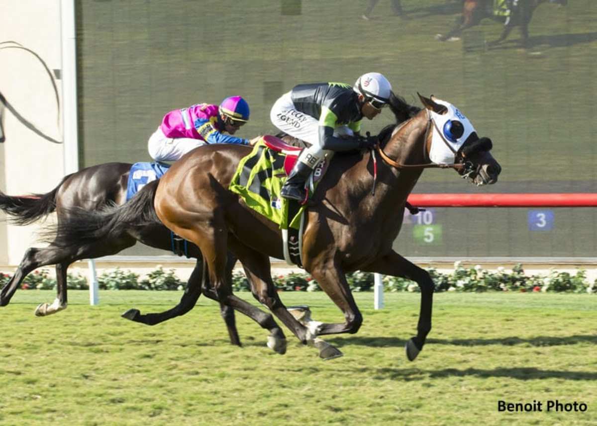 Del Mar Opening Day: Bowies Hero Leads Full Field Of 14 In Oceanside ...