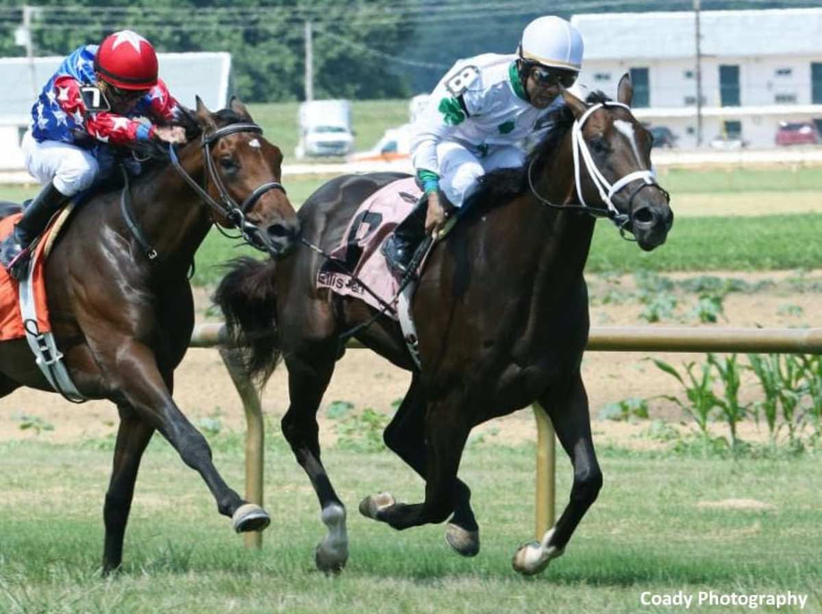 Fort Larned Gets First Winner In Mile Turf Race At Ellis Park - Paulick ...