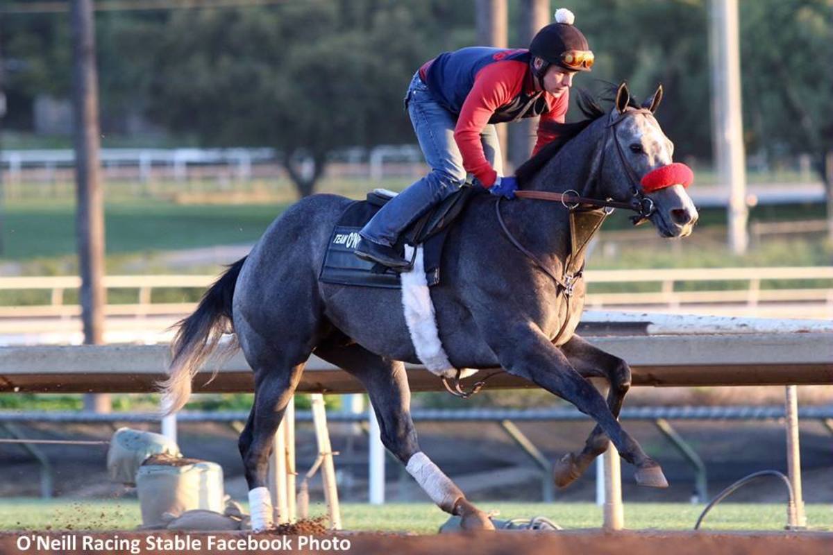 O'Neill, Reddam Look To 'Give It A Roll' With Rockin Rudy In Arkansas ...