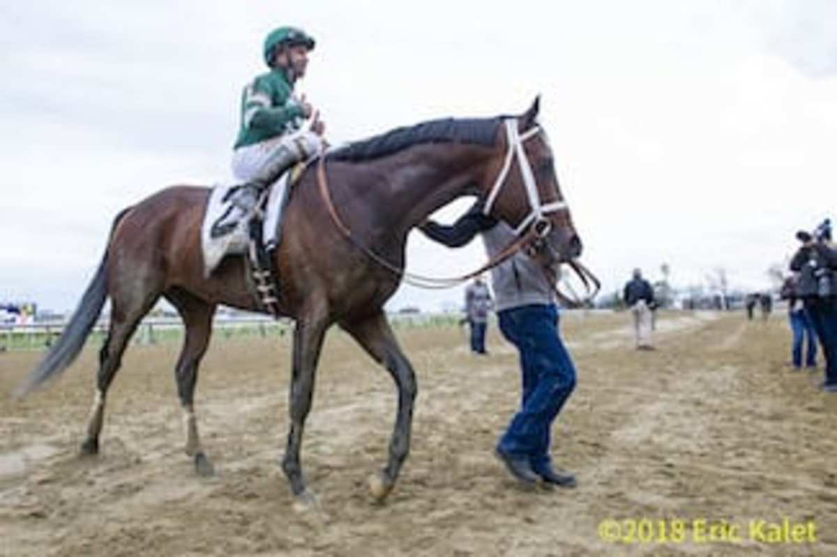 Army Mule Sizzles Seven Furlongs in 1:20.94 To Take Carter In Stakes ...