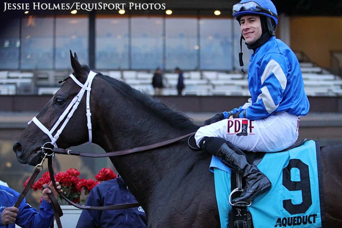 Clasificado Para El Kentucky Derby, Enticed Luce Como El Caballo A ...