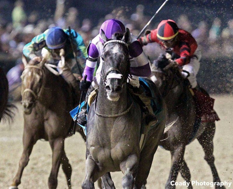 Stephen Foster, Zenyatta Among Six Grade 1 Stakes Downgraded For 2019 ...