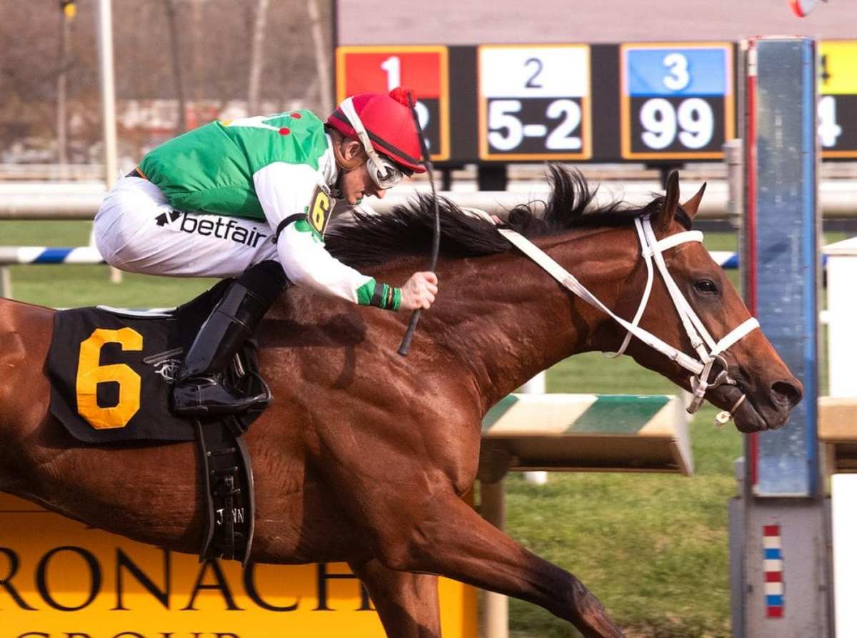 Full Circle: Diamond King Is Zacney's First Preakness Horse Since 2005 ...