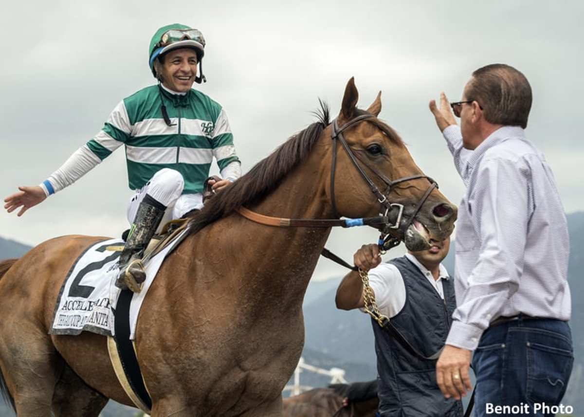 Bloodlines: Accelerate Adds Notch For Lookin at Lucky, Smart Strike's ...