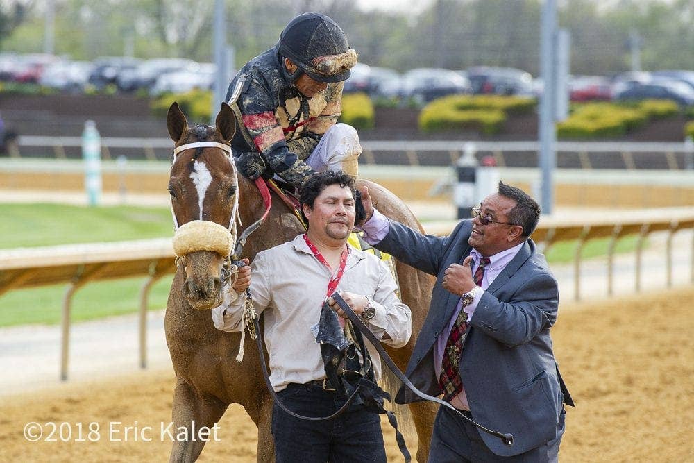 Charles Town Classic Winner Something Awesome Aims For Pimlico Special ...