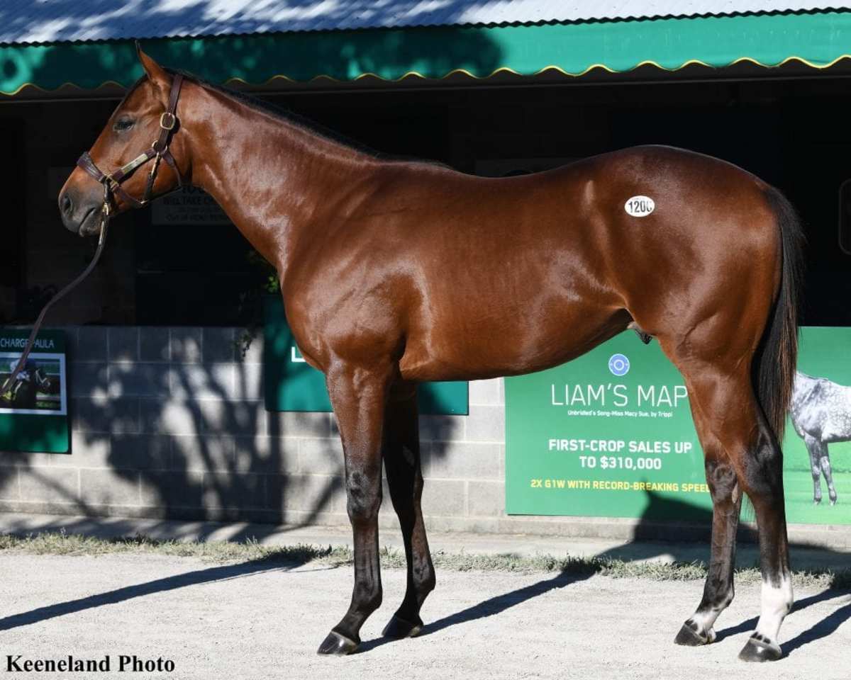 $1-Million Uncle Mo Colt Tops Book 2 Opener At Keeneland September ...