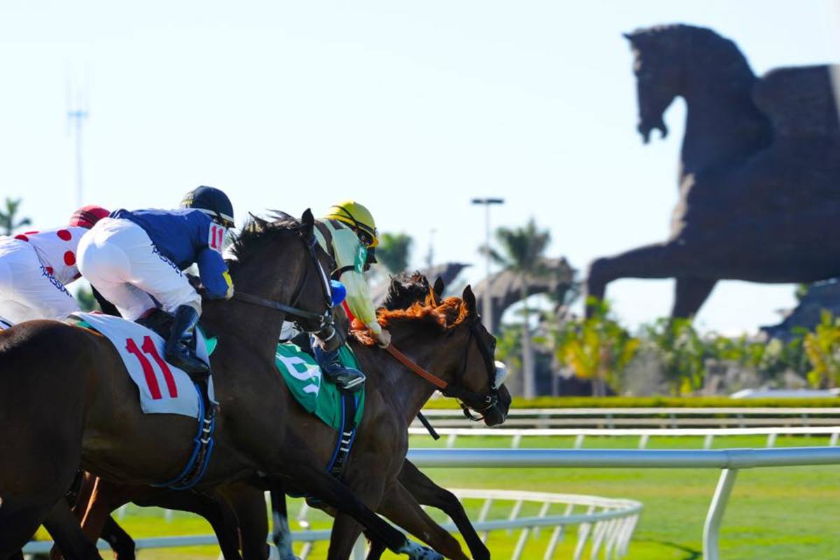 Gritty, Well-Bred Axthelm Back At Gulfstream Park For Tropical Park ...