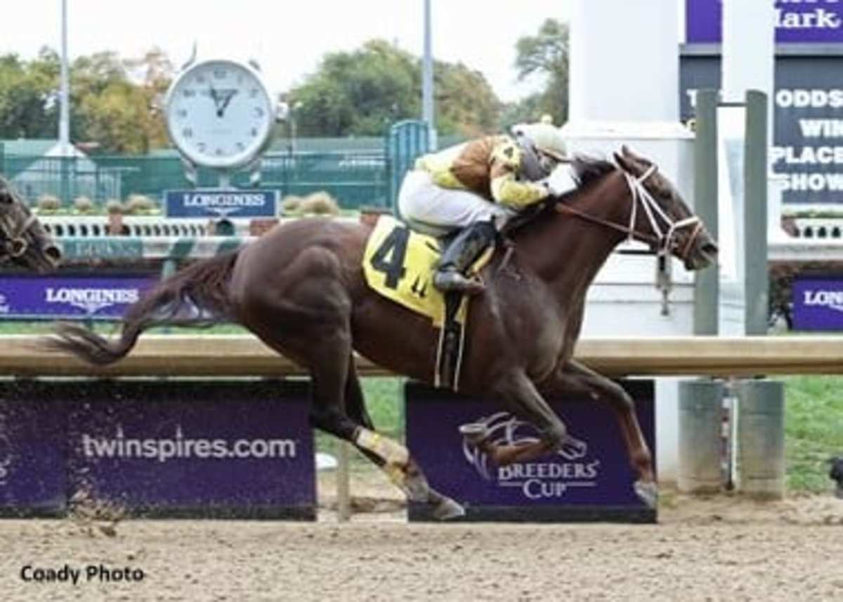 Arkansas-Bred Dutch Parrot Takes Aim On Earnings Record - Paulick ...