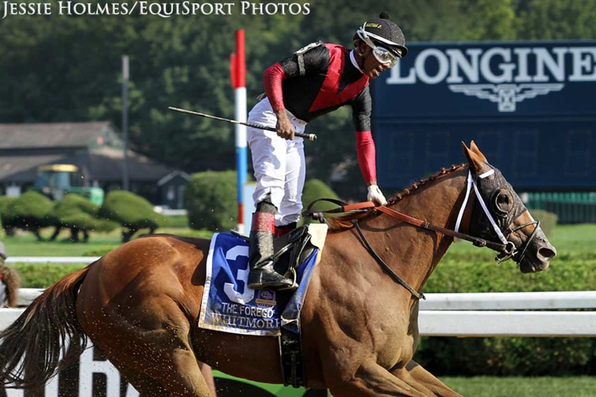 Whitmore, Limousine Liberal Meet Again In Ogden Phoenix - Paulick ...