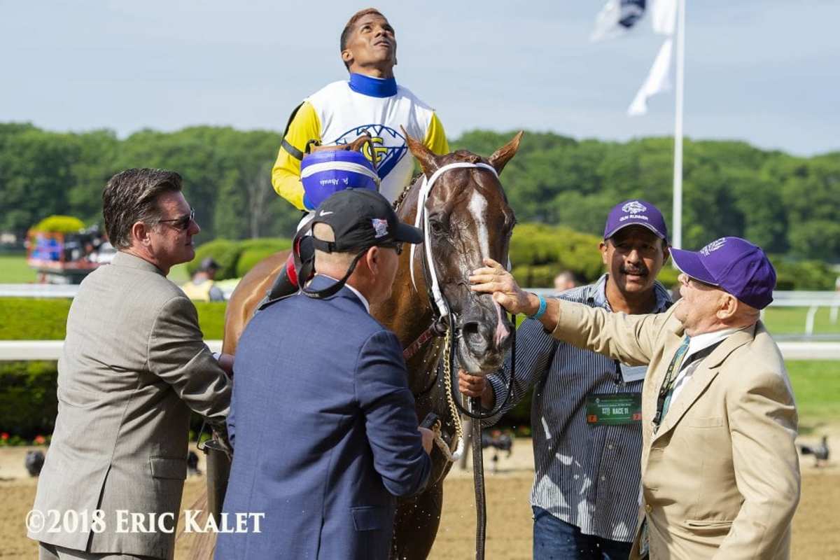 Fipke Cancels Stud Fees Contracts On His Stallions For 2020 - Paulick ...