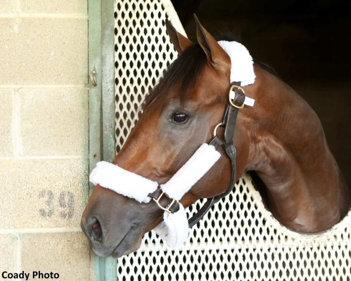 2018 Arkansas Derby Winner Magnum Moon Loses Battle To Laminitis ...
