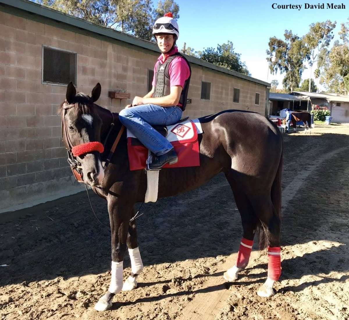David, Anna Meah Preparing For Debut Runner On Thursday - Paulick ...