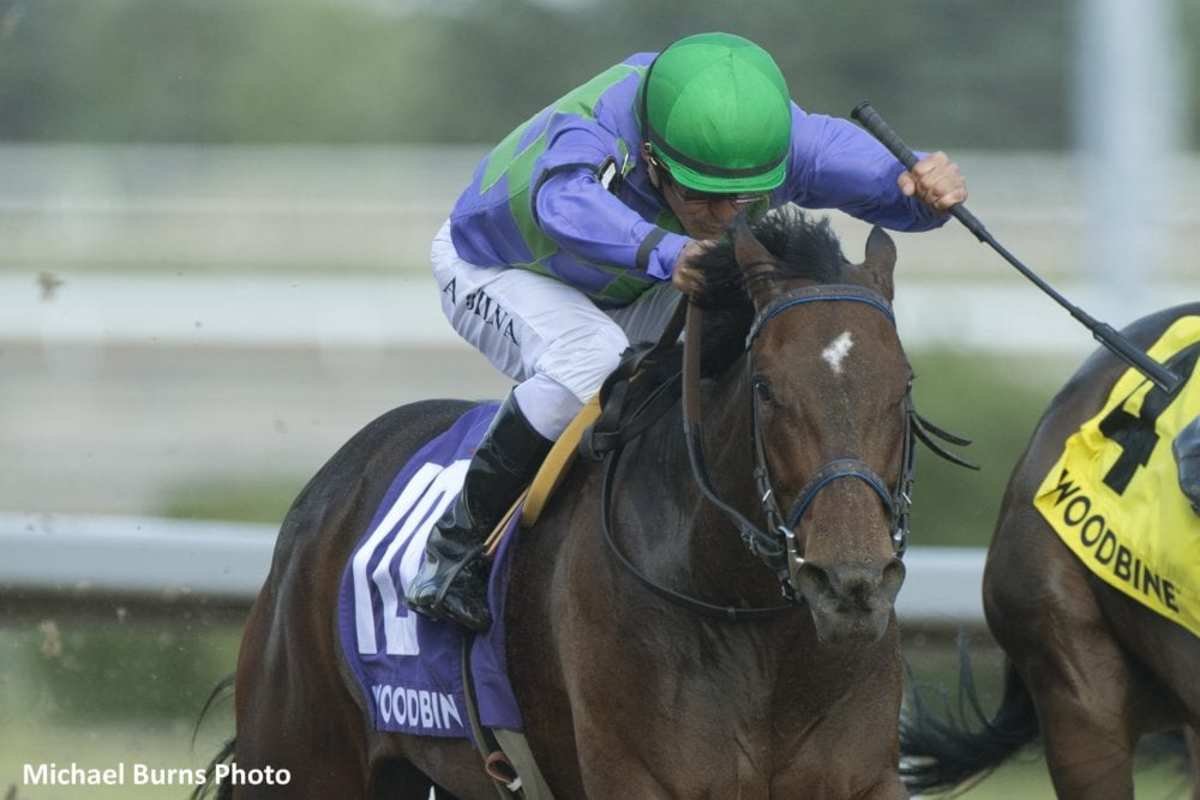 Gamble's Ghost Goes Wide For Trillium Victory - Paulick Report | Latest ...