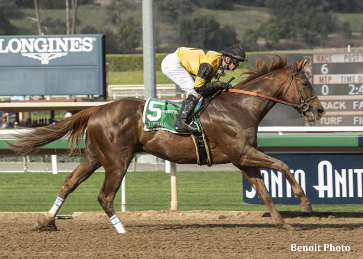 Bloodlines: San Vicente Winner Kanthaka Enhances Spotlight On Jimmy ...