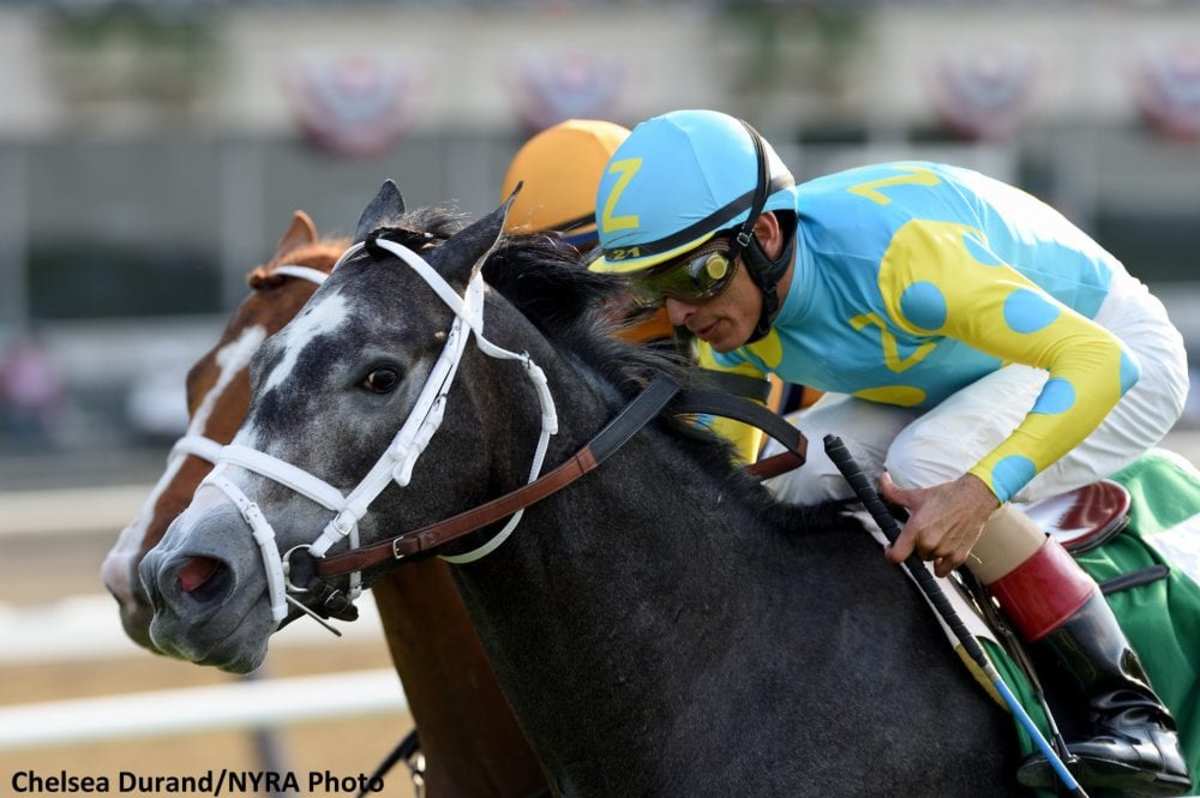 Stakes Winner Gidu, Son Of Frankel, To Enter Stud In Argentina ...