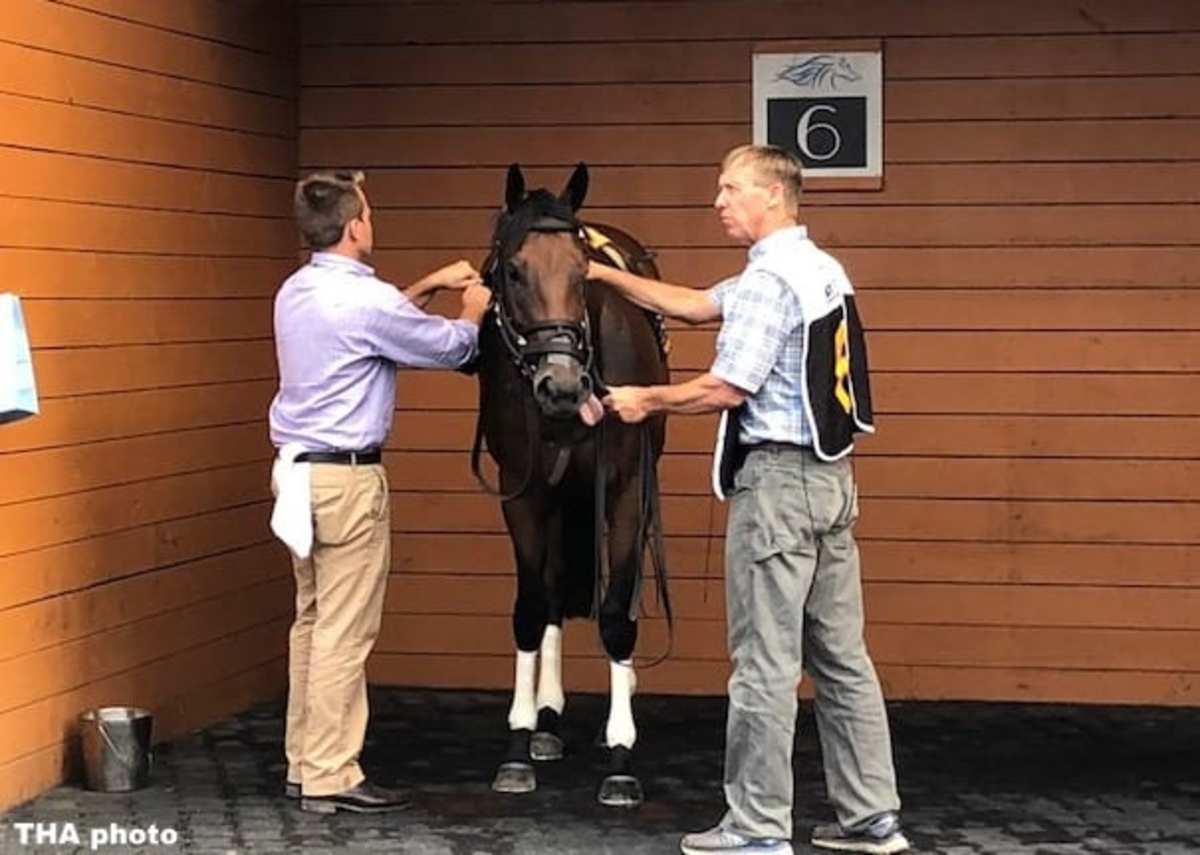 MATCH Series: Hotshot Anna Wins Race; Jessica Krupnick Takes Division ...