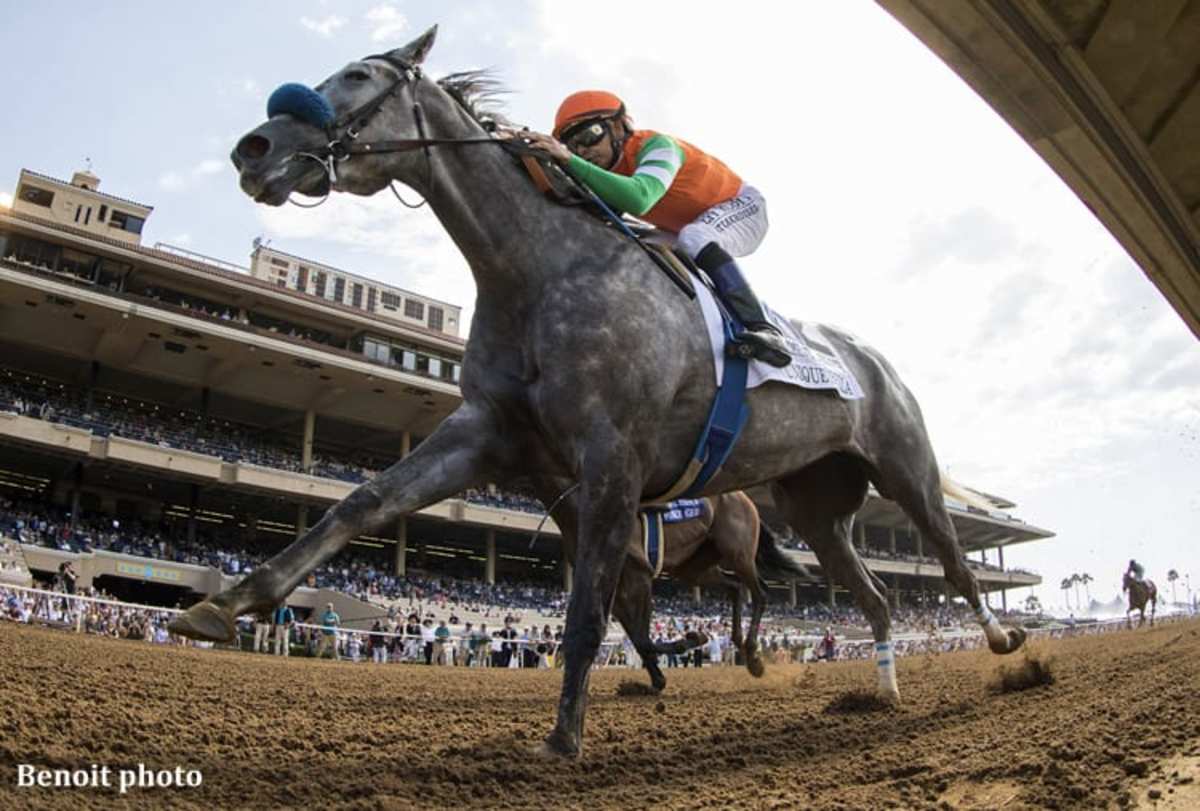 Unique Bella Fends Off Late Run From La Force In Clement L. Hirsch ...