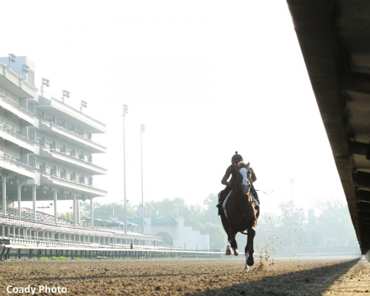 Romans: Belmont Distance Suits Pedigree Of Free Drop Billy - Paulick ...