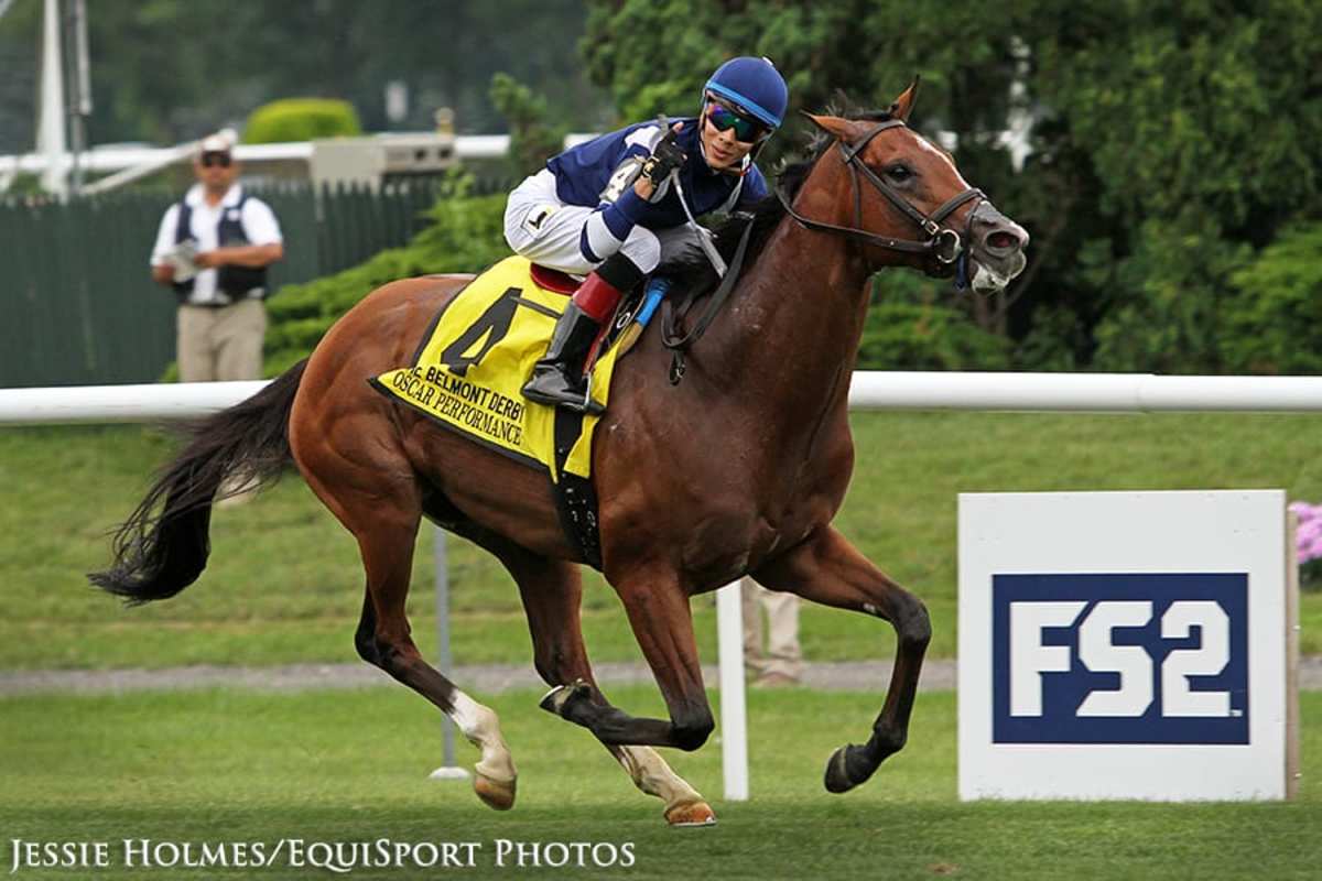 Oscar Performance To Stand For $20,000 At Mill Ridge Farm In 2019 ...