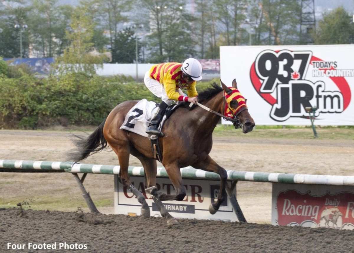 Gryder Rides Five Winners In A Row Friday At Hastings - Paulick Report ...