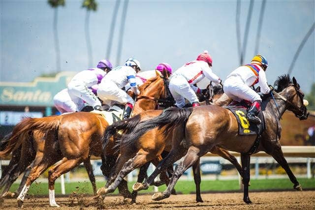 Santa Anita's Single Ticket Pick Six Jackpot Carryover At $479,931 For ...
