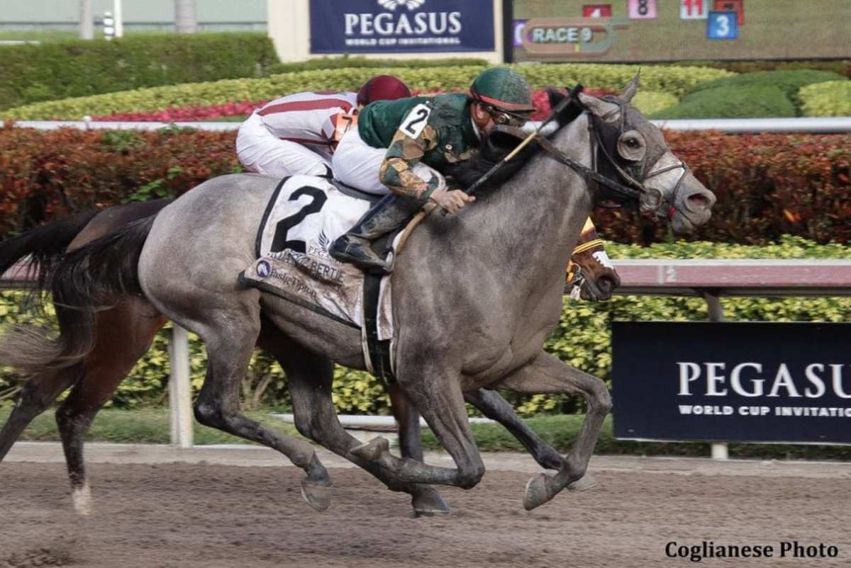 $19,000 RNA Jordan's Henny Bids For Gulfstream Park Graded Stakes ...