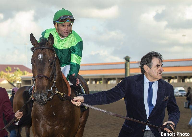 Turf Milers Get NBC Spotlight For 'Win And You're In' Fourstardave ...