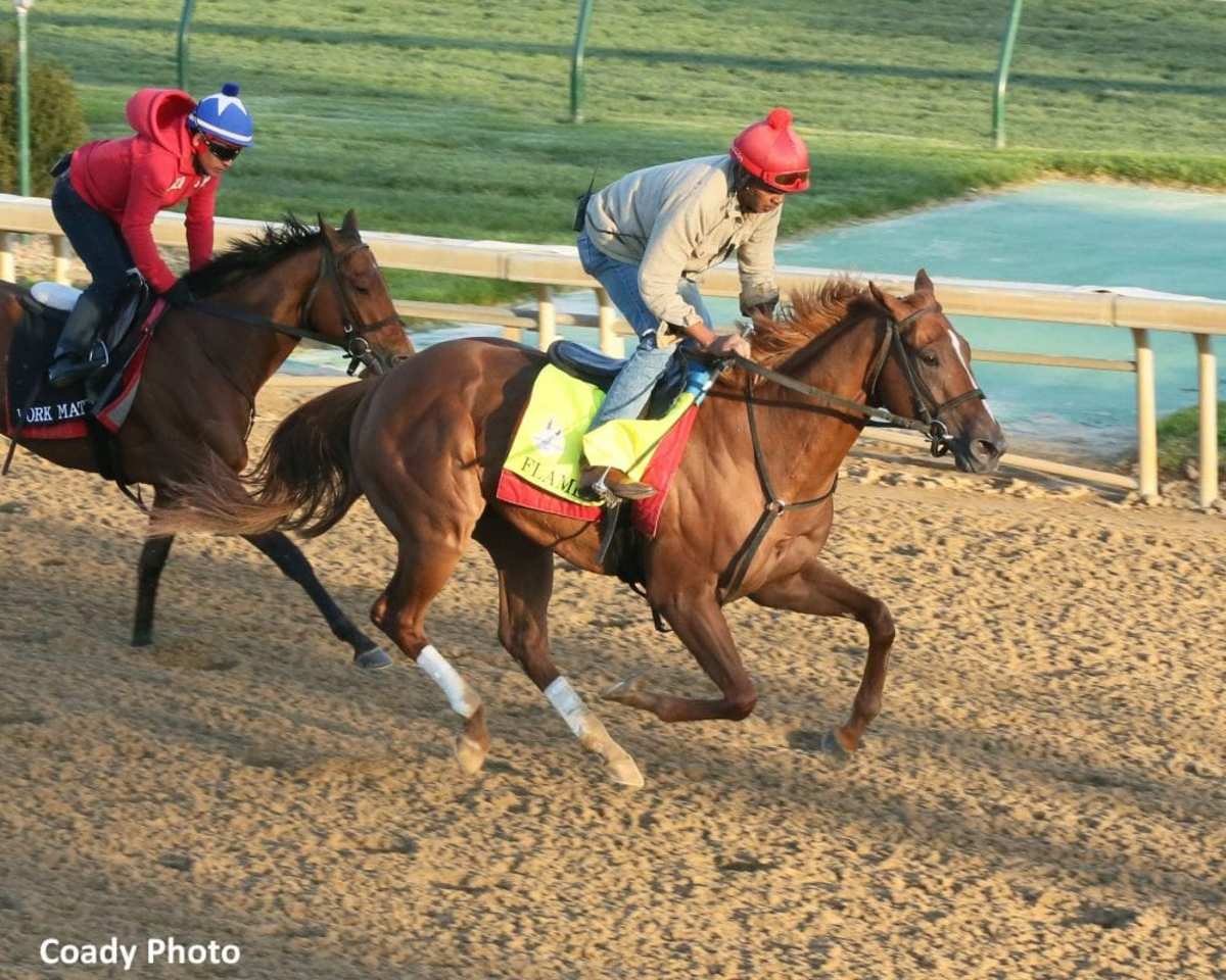 Flameaway, Lone Sailor Top Dozen Entries For Saturday's Ohio Derby ...