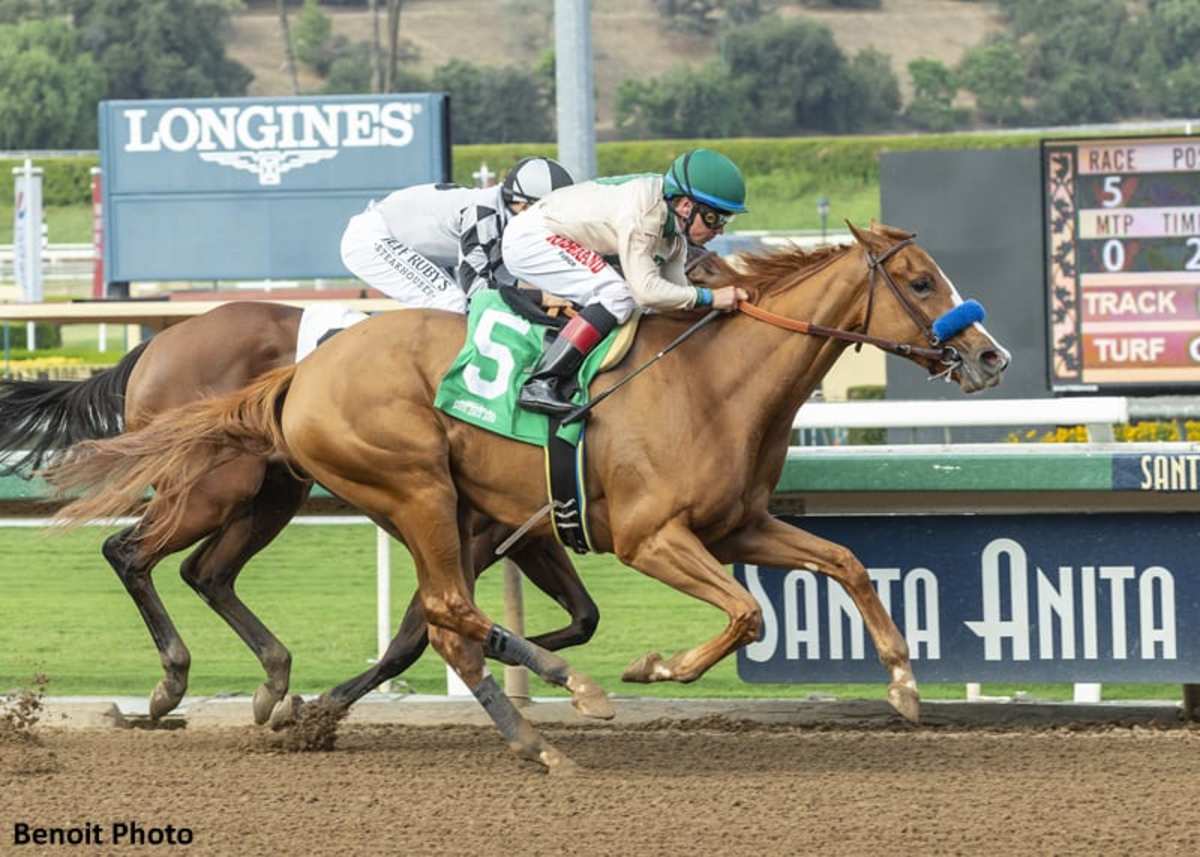 Chasing Yesterday Heads Juvenile Fillies Rematch In Desi Arnaz ...