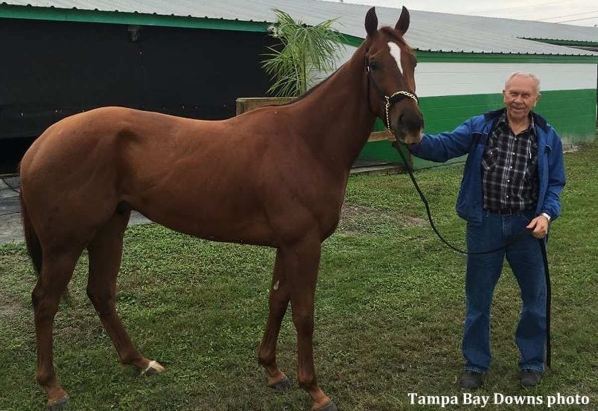 74-Year-Old Trainer Bennett Still Has 'That Desire To Win' - Paulick ...