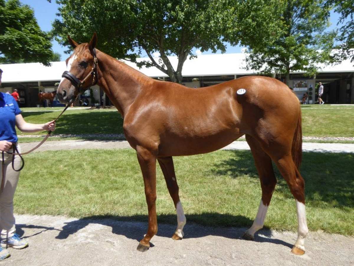 ‘The Next Set Of Hands In The Industry’: College Students Learn On The ...