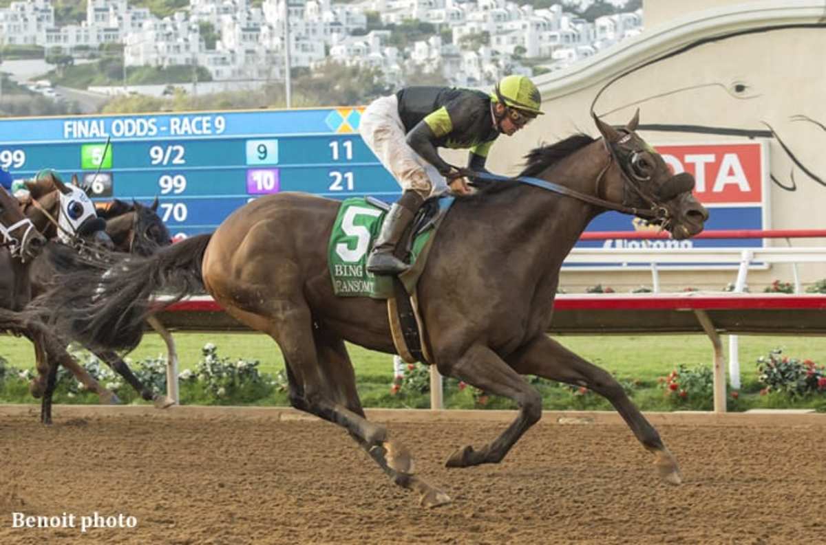 Pat O'Brien: Ransom The Moon Will Not Run, Roy H Also Doubtful ...