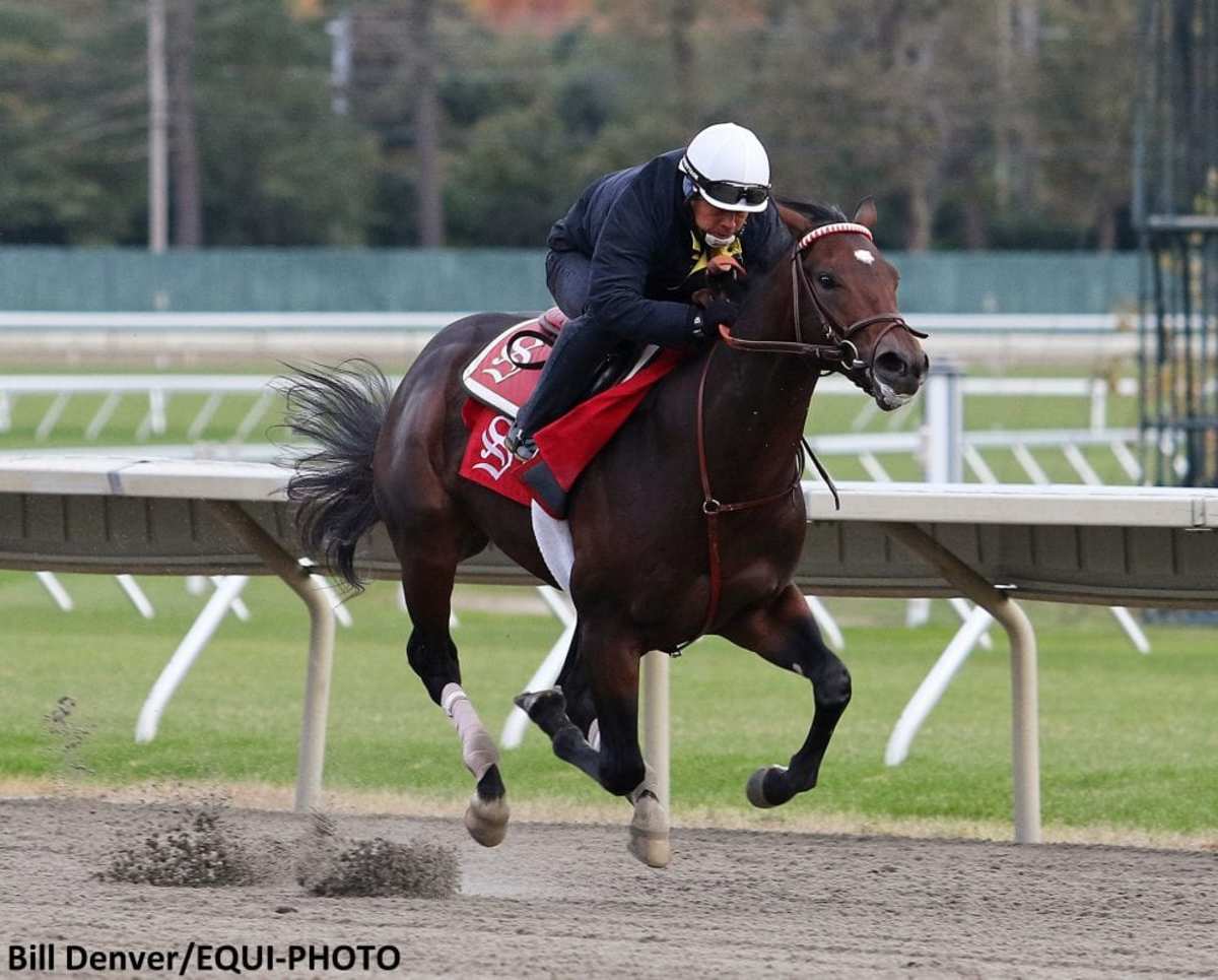 Juvenile: Mind Control's Final Work 'Couldn't Have Gone Any Better ...