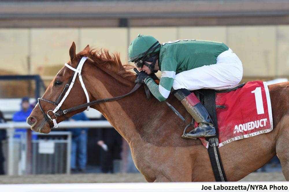 Teresa Z Dominates Turnback The Alarm Handicap At Aqueduct - Paulick ...
