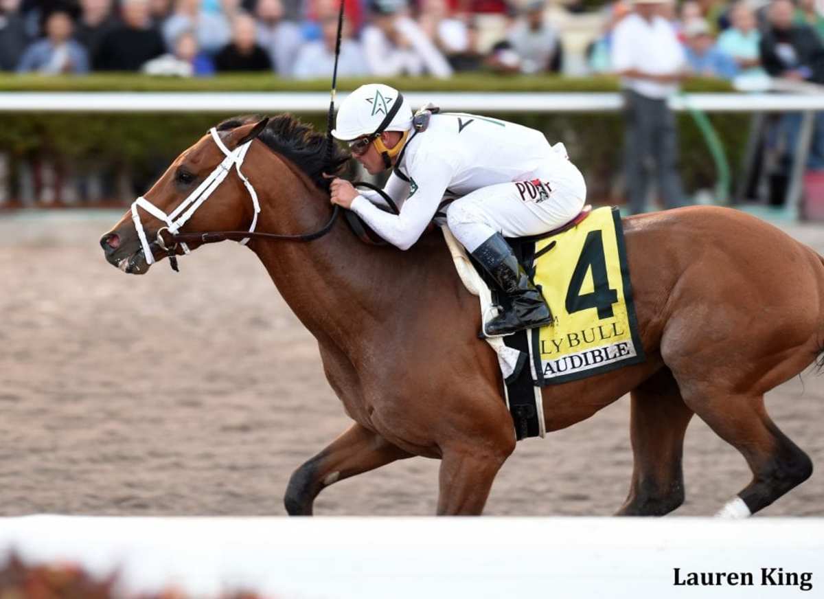 Audible 9-5 Morning Line Favorite, Draws Post 8 In Florida Derby ...