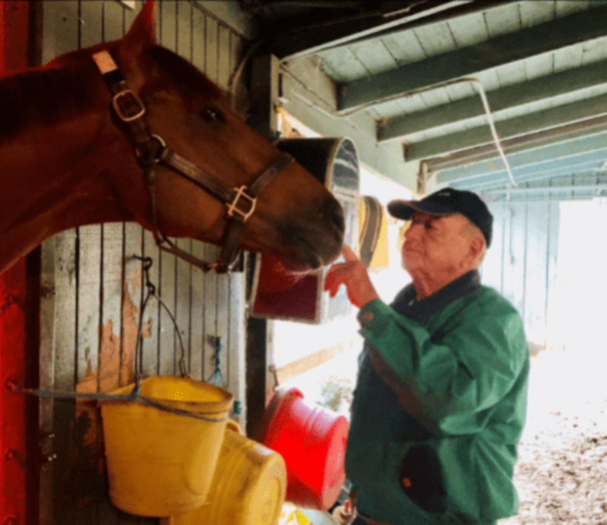 Headley Joins WHOA: 'Essential To The Longevity Of Our Thoroughbreds ...